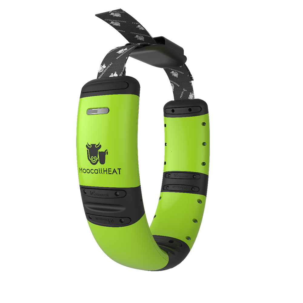 Moocall, détecteurs de vêlage et de chaleurs pour bovins - Coffia